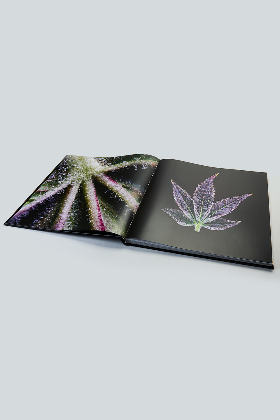 Weed Book – WeedmapsClothing