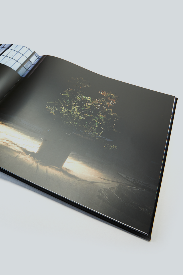 Weed Book – WeedmapsClothing